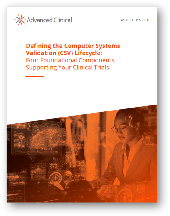 Defining the Computer Systems Validation (CSV) Lifecycle
